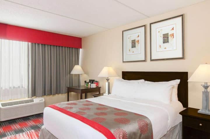 Albany Getaway Next To Downtown W/ Free Breakfast - Albany, NY