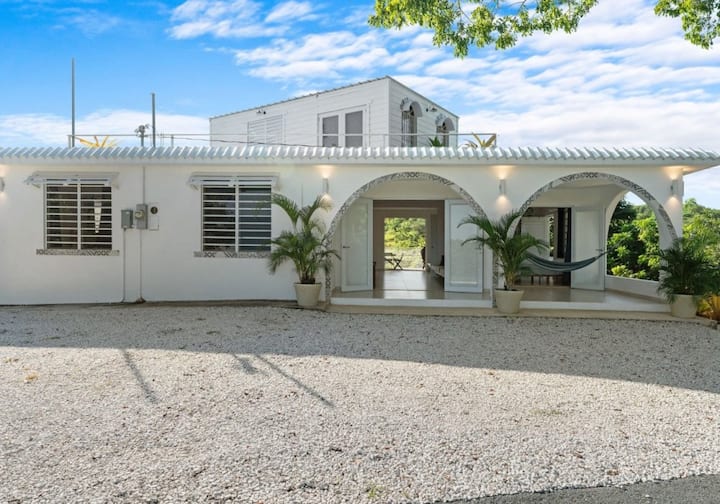 Rincon Oceanview Villa 16 People With Two Pools - Puerto Rico