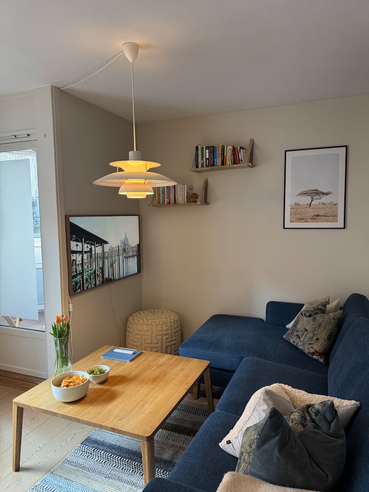 Nyt St. Hanshaugen - 奧斯陸