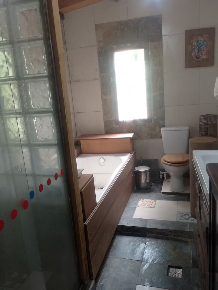 Charm Trees And Breeze - Rio de Janeiro