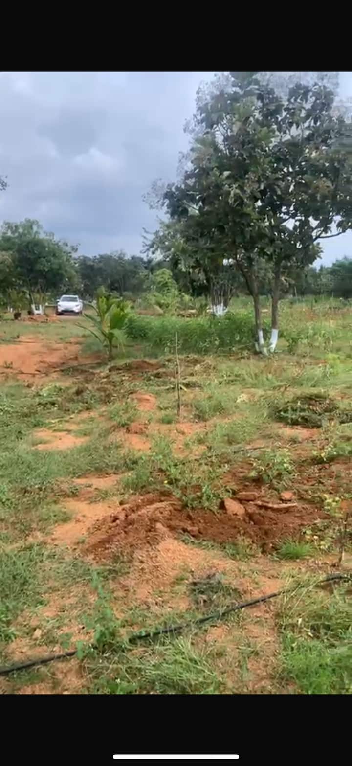 Farmer’s Container - Medchal