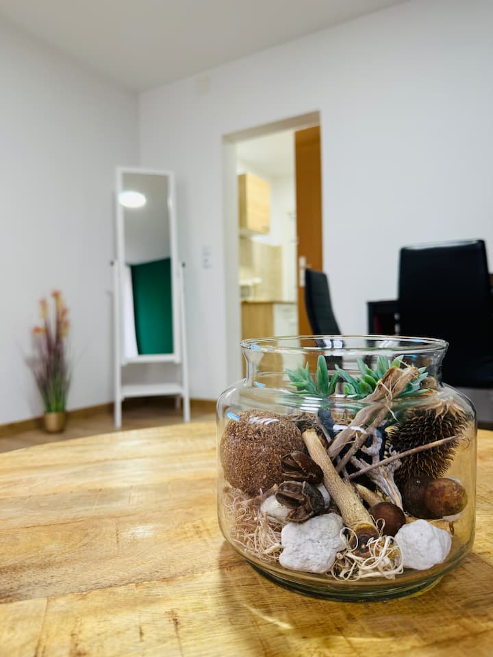Paisible, Confortable, Centre - Mulhouse