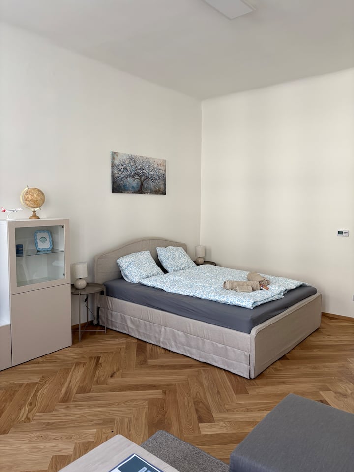 Helle, Saubere Wohnung In Zentraler Lage - Vienna