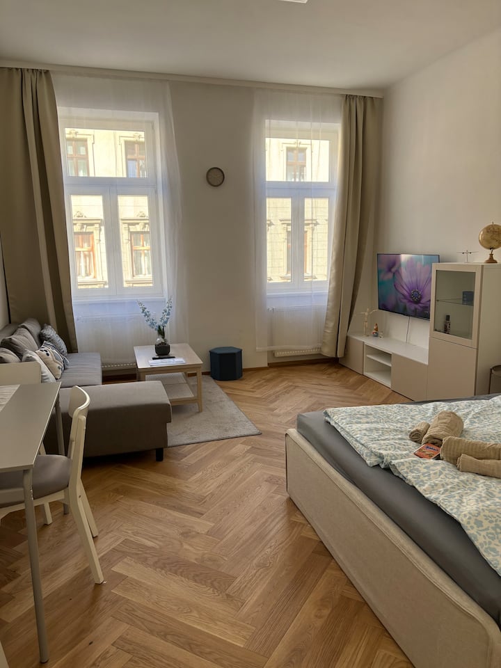 Helle, Saubere Wohnung In Zentraler Lage - Wien