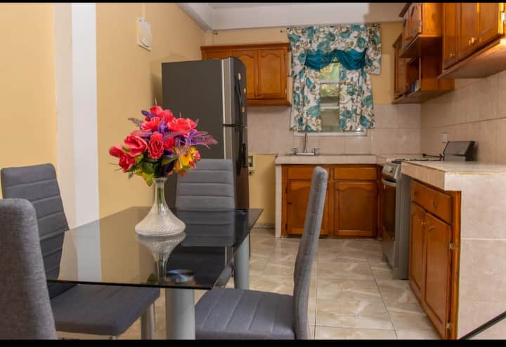 Cozy Apartments - Roseau