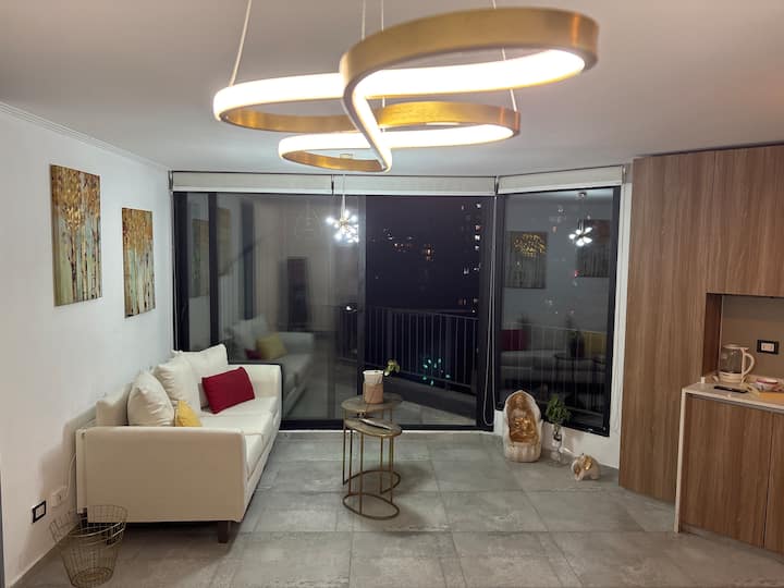 Espacioso Departamento Con Terraza, Parking Free - Providencia