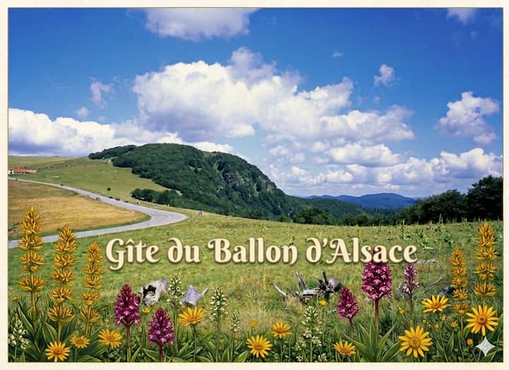 Gîte Du Ballon D’alsace
Vue à 360 Sur La Montagne - Ballon d'Alsace