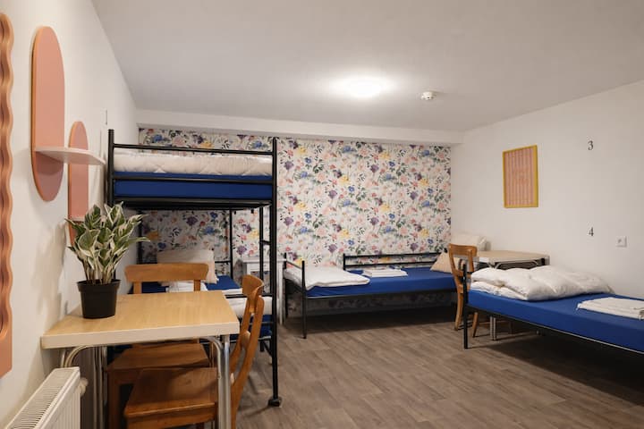 Women Only Dorm + Free Lockers / No Window - Alkmaar