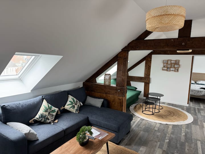 Appartement L'écho Des Remparts - 維姆勒