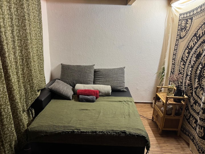 Habitación En Piso Compartido - 德累斯頓