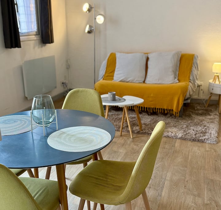 Studio Au Cœur De Lourdes - Lourdes