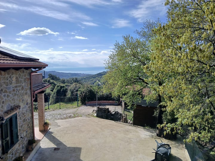 I Corbezzoli - Vibonati