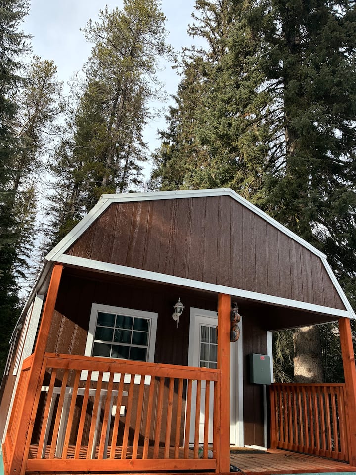 Brown Carbon - Montana