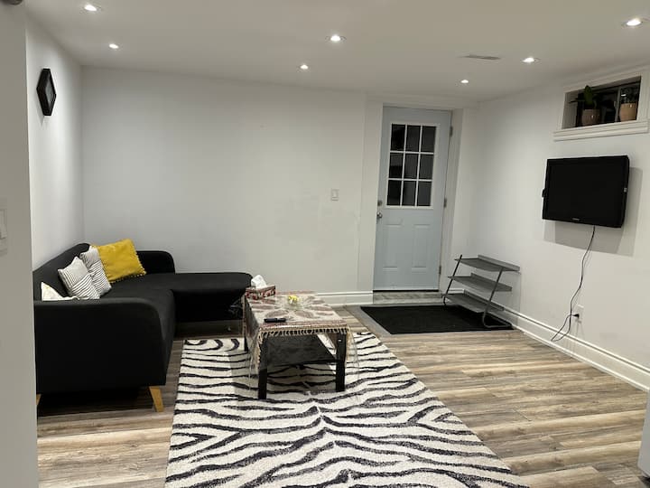 Fully Furnished Basement, Free Parking - Newmarket