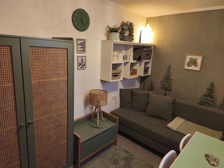 Gästezimmer Mit Wc, Eigener Eingang Am See - Bad Oldesloe