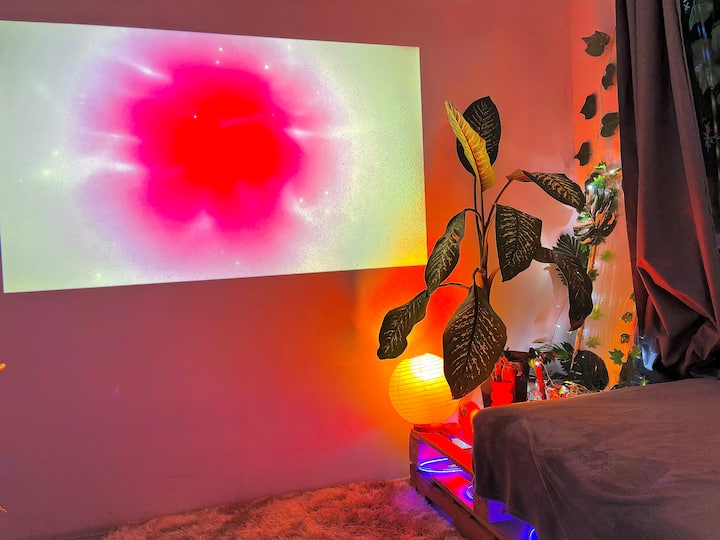 “El Hogar De Bebé” Festivo San Valentín - Xalapa