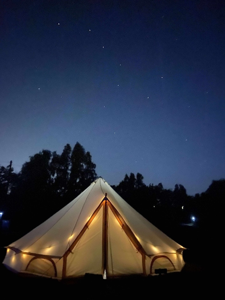 Whitstable Potato Patch 6m Bell Tent - Isle of Sheppey