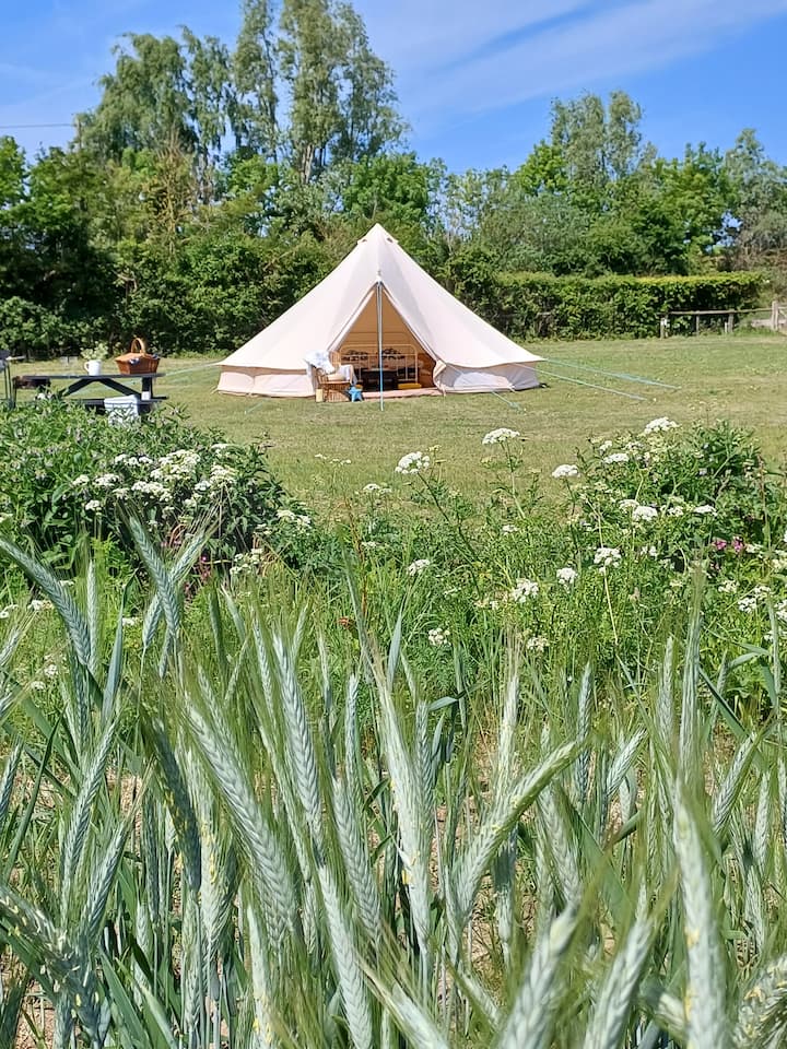 Whitstable Potato Patch 6m Bell Tent - Whitstable
