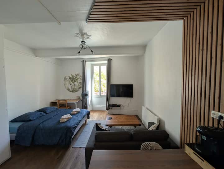 Studio Au Cœur De Dijon - Dijon