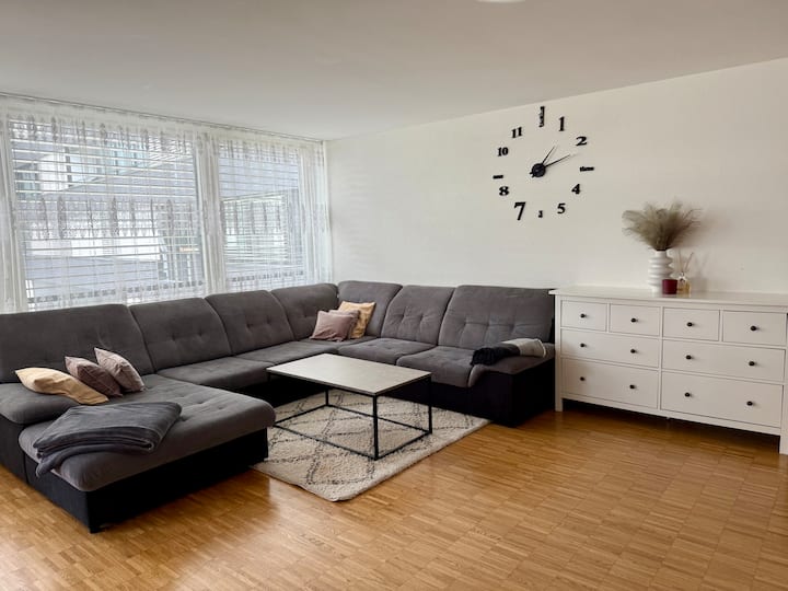 Grosse Wohnung Nähe Esc - Basel