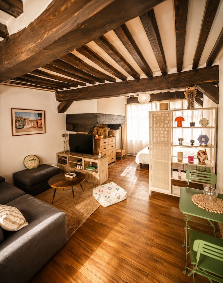 Appartement Centre Historique - 렌