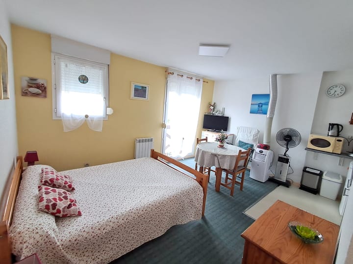 Studio éQuipé Proche Des Thermes - Eugénie-les-Bains