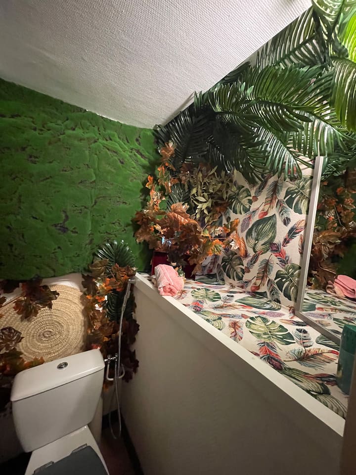 Maison Donasete T3 - Brioude