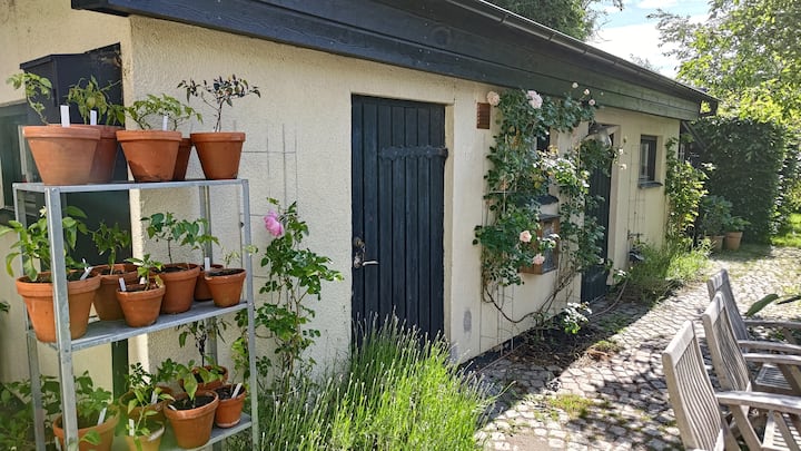 Malmös Minsta Hus! - Malmö