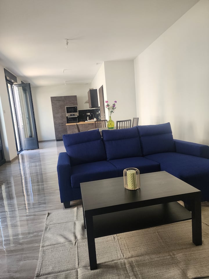 Bel Appartement Au Coeur De Mulhouse - Mulhouse