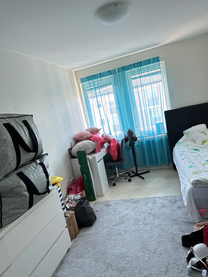 Fin Och Ljust Lägenhet - Linköping