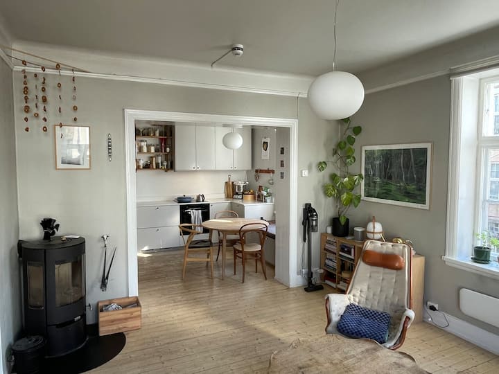 The Perfect Family Apartment - Oslo