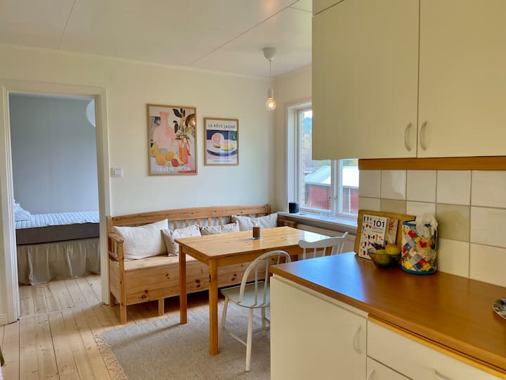 Hus Nära – Skidtunnel & Bra Träningsmöjligheter - Torsby