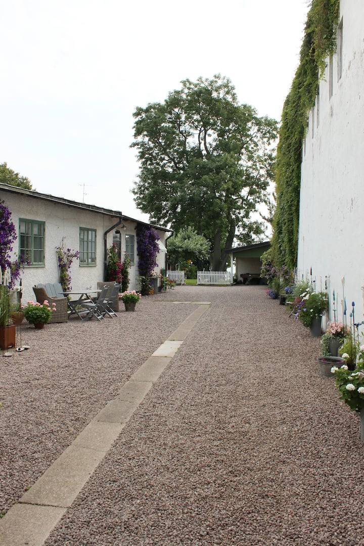 Centralt & Sjönära Boende I Hjo. - Hjo