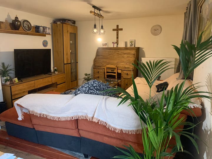 Hofreite Mit Sauna Und Tr-fläche - Mainz