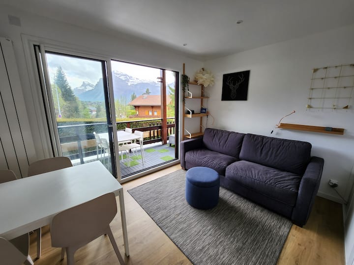 Studio Proche Télécabine - Les Carroz d'Arâches