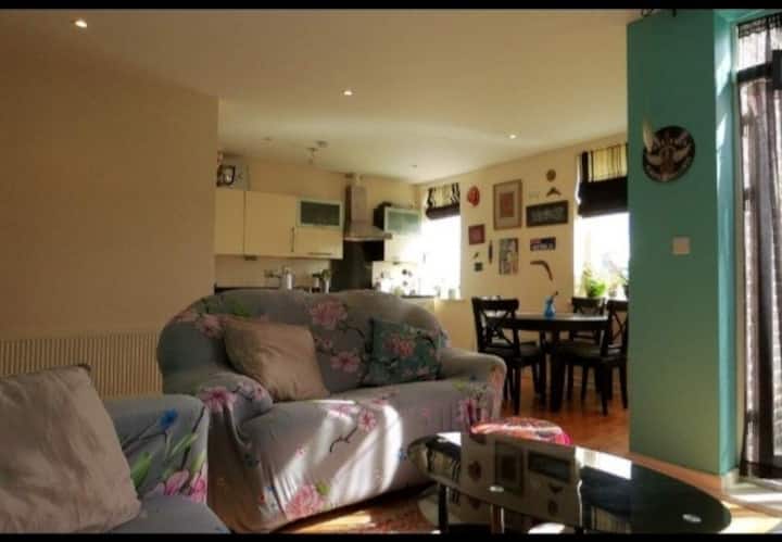1 Bedroom Shared Apartment D8 - Dublin