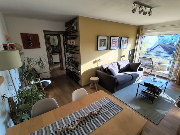 Charmant Appartement Idéalement Situé - Straatsburg