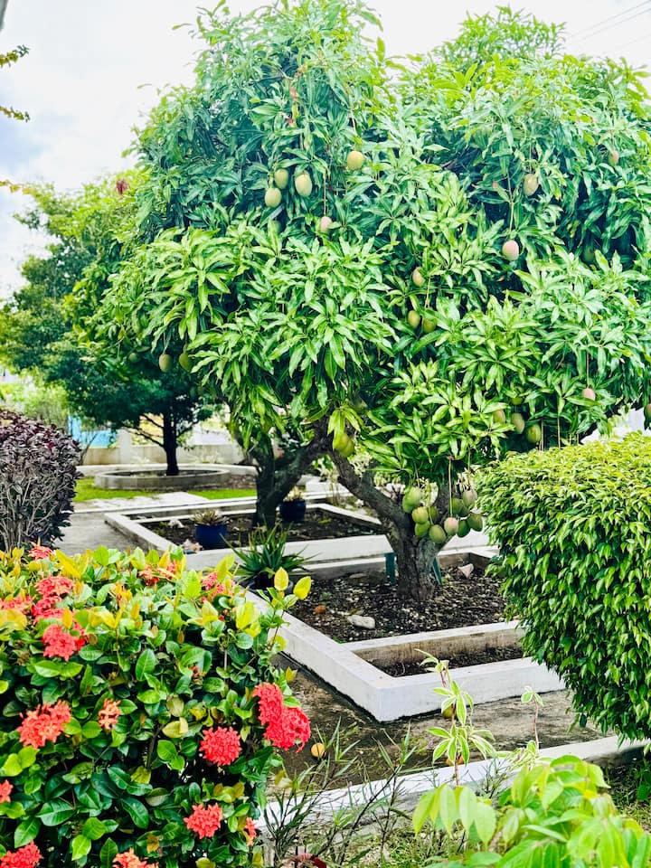 Walkable Bon Accord 8br Retreat-pool, Hot Tub, Bbq - Tobago