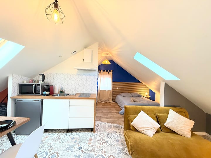 Magnifique Studio Proche Du Centre Ville - Rodez