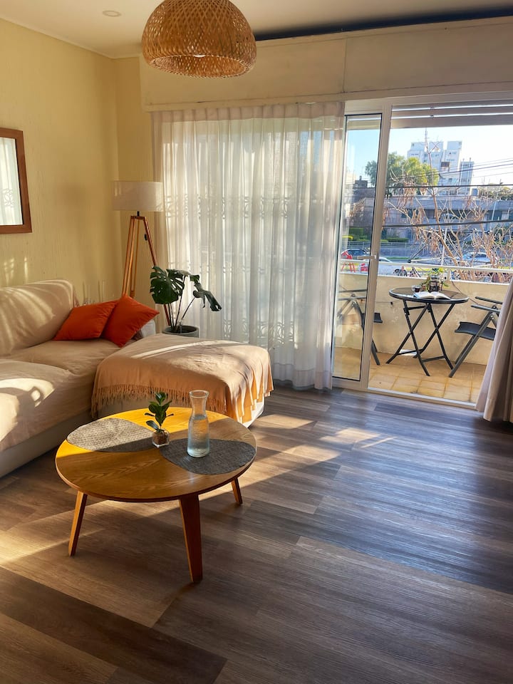 Amplio Y Luminoso Apartamento - Montevideo