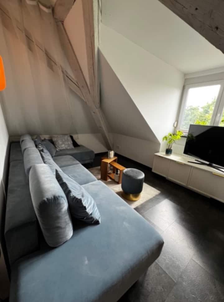 Designer Flat Heart Of Augsburg - Augsbourg