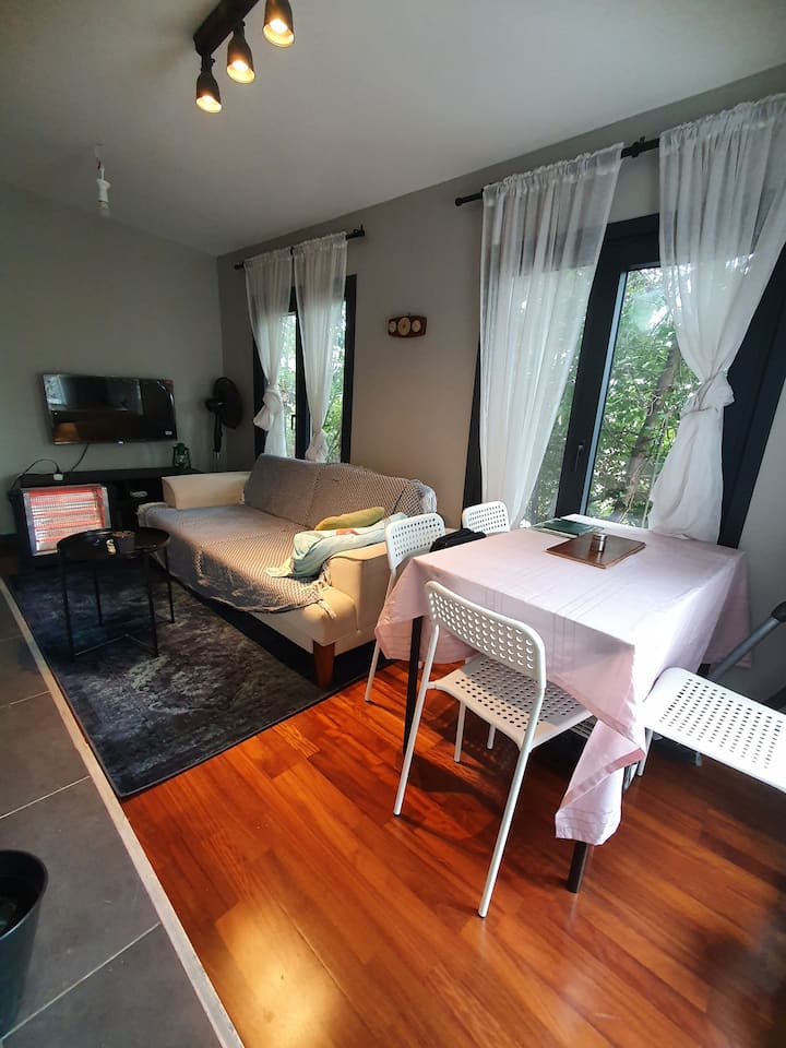 Anadoluhisarda 1+1 Müstakil Ev. - Beykoz