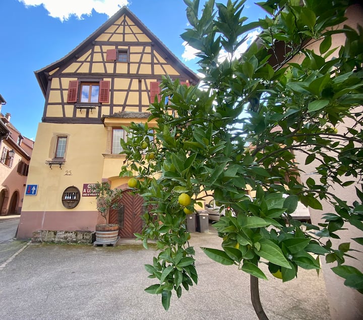 Le Gîte Du Vigneron . - Ribeauvillé