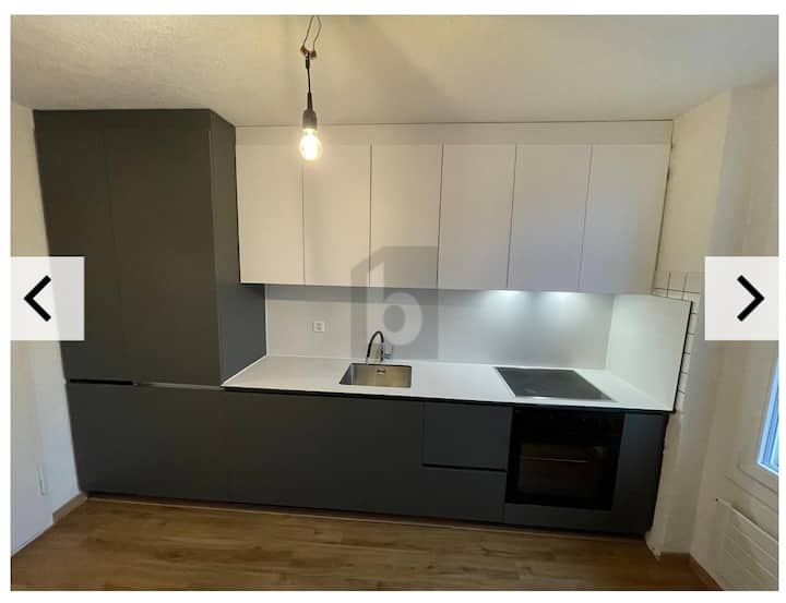 Furnished „Lakeview“ Apartment - Switzerland