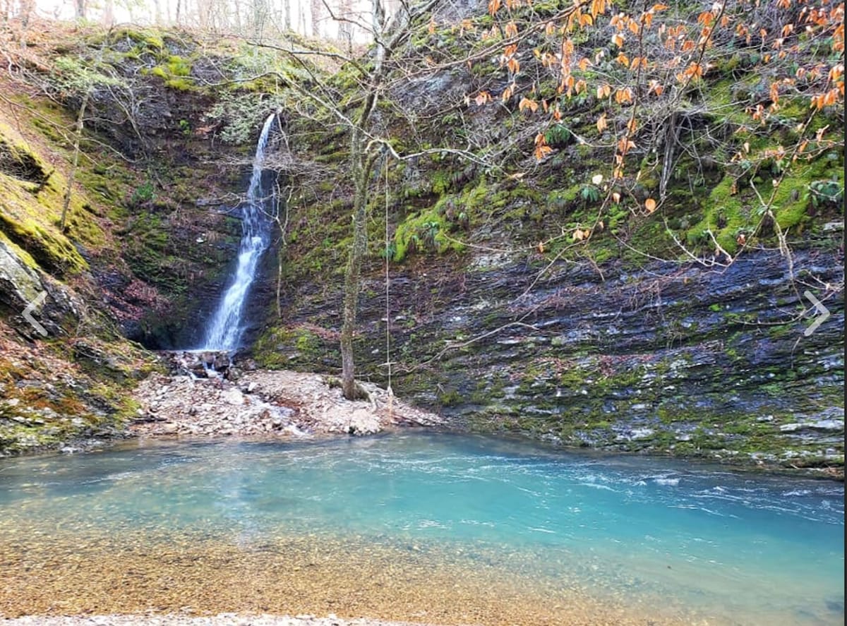 Hurlement de loups à Wolfpen Gap - Cabanes à louer à Mena, Arkansas ...