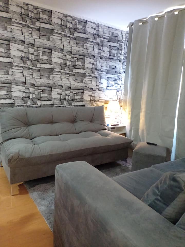 Santo Domingo 3 Santiago Centro.metro, Bellas Arte - Santiago