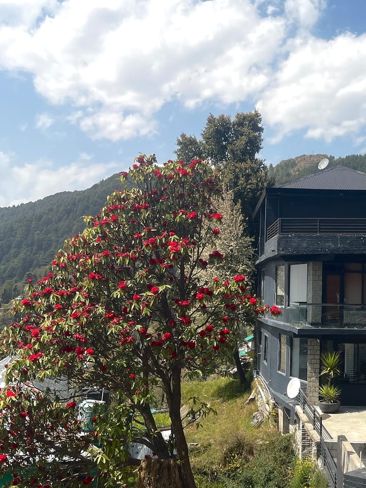 Chilltop Black | Sleek 1bhk Retreat Upr Dharamkot - Dharamshala