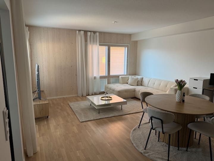 Iso Saunallinen Kaksio Turussa - Turku