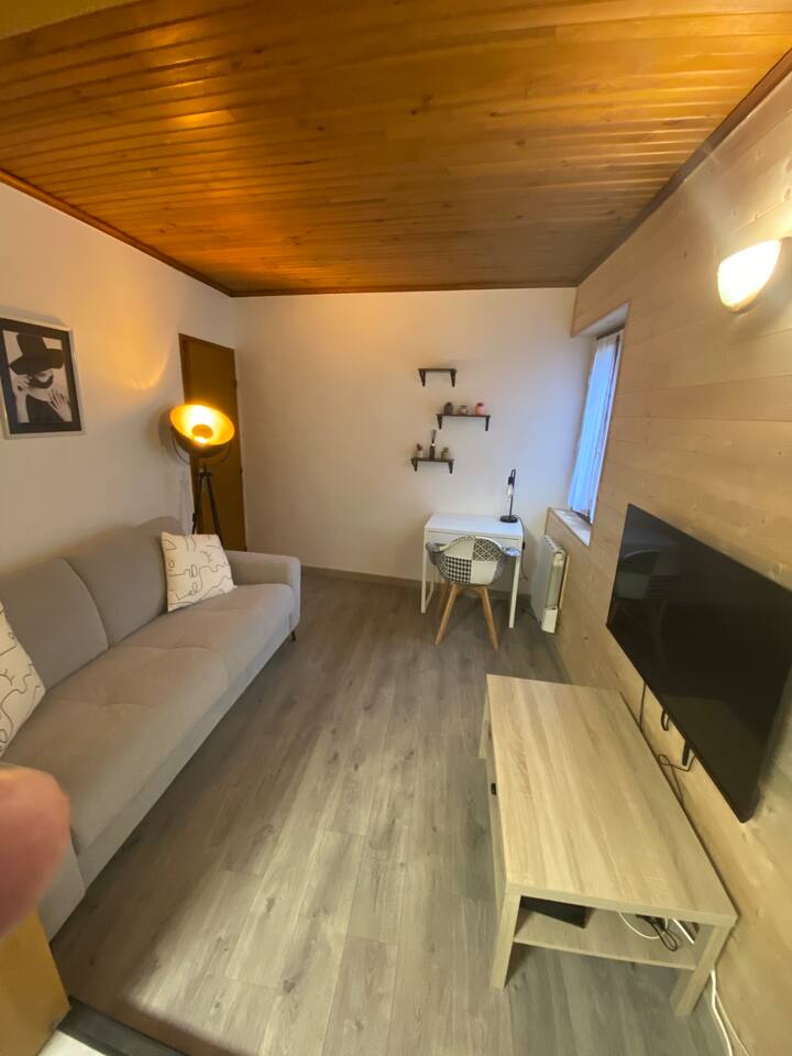 Appartement Oyonnax - Nantua