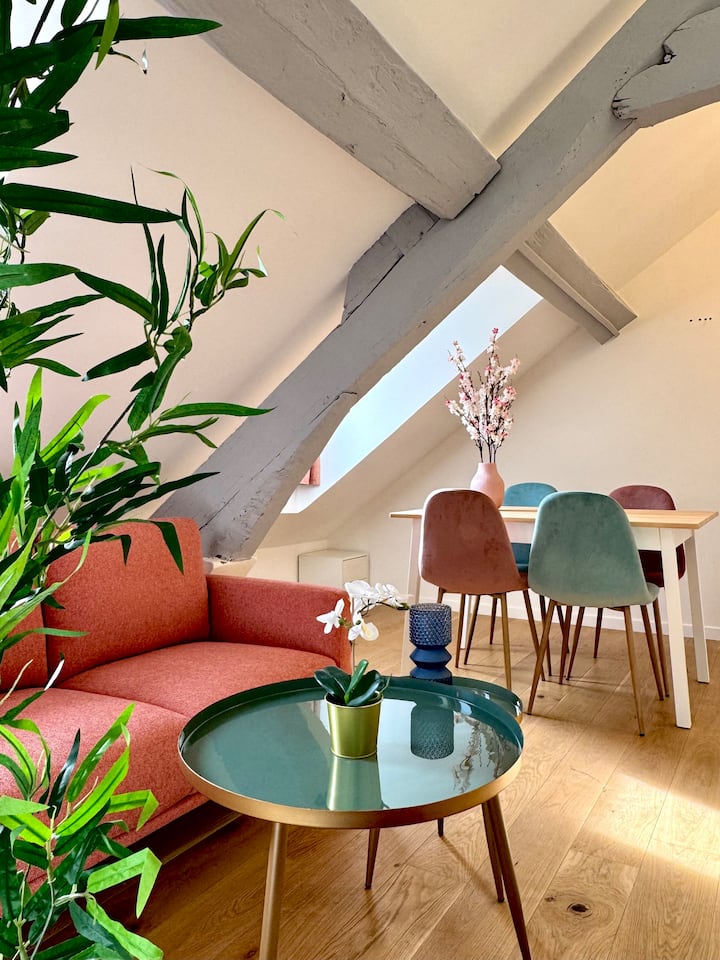 Magnifique Appartement - Louvre - Paris